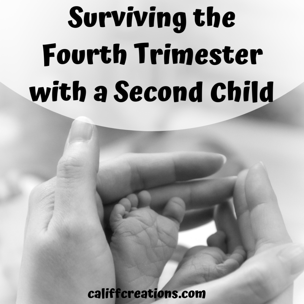 Surviving the Fourth Trimester with a Second Child | Califf Life Creations