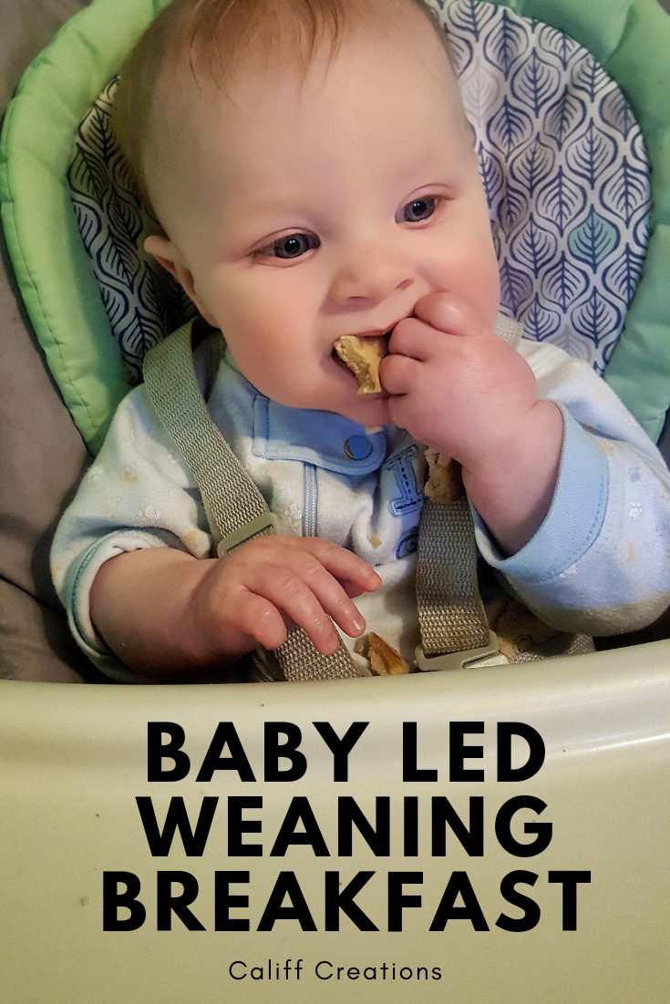 Baby Led Weaning Fruity Breakfast Recipe | Califf Life Creations