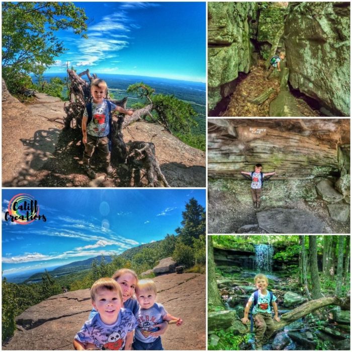 September Outdoor Goals Review | Califf Life Creations