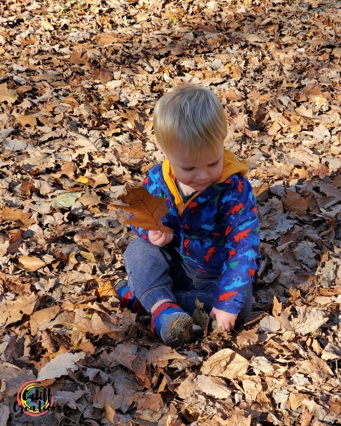 Fall Play with Leaves : What Nature Can Teach Us | Califf Life Creations