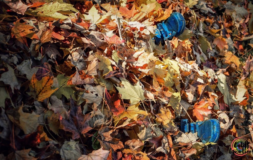 Fall Play with Leaves : What Nature Can Teach Us | Califf Life Creations