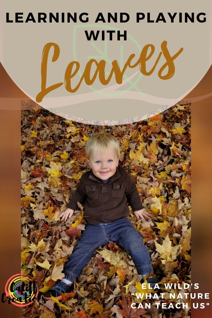 Fall Play with Leaves : What Nature Can Teach Us | Califf Life Creations