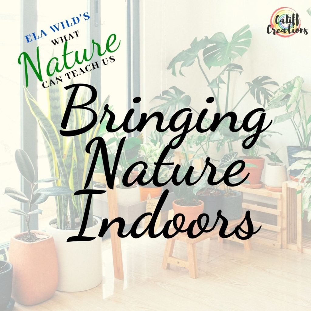 Indoor Nature Ideas For Kids What Nature Can Teach Us Califf Life